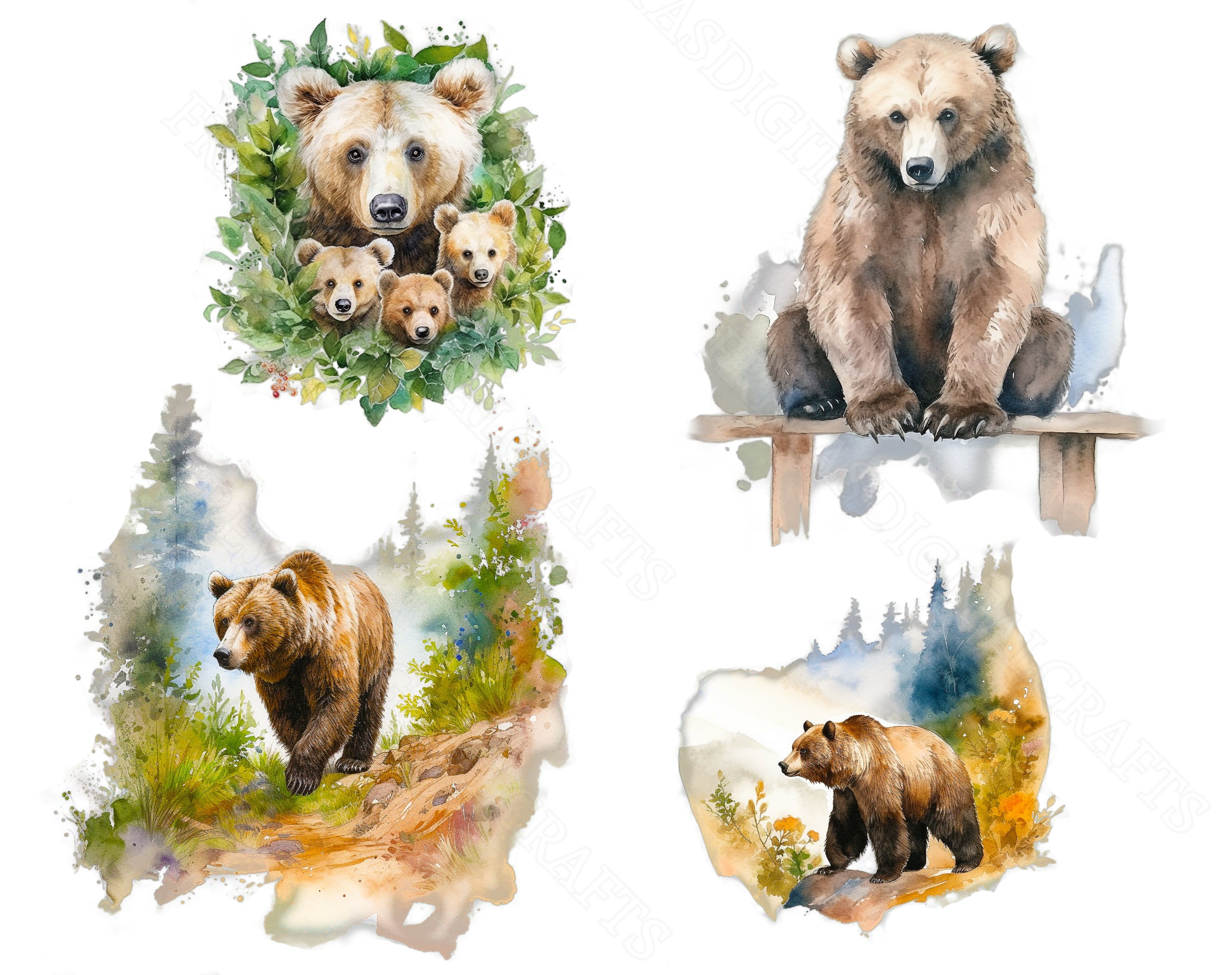 12 Bear Watercolor Clipart Illustration high Quality PNG - Etsy