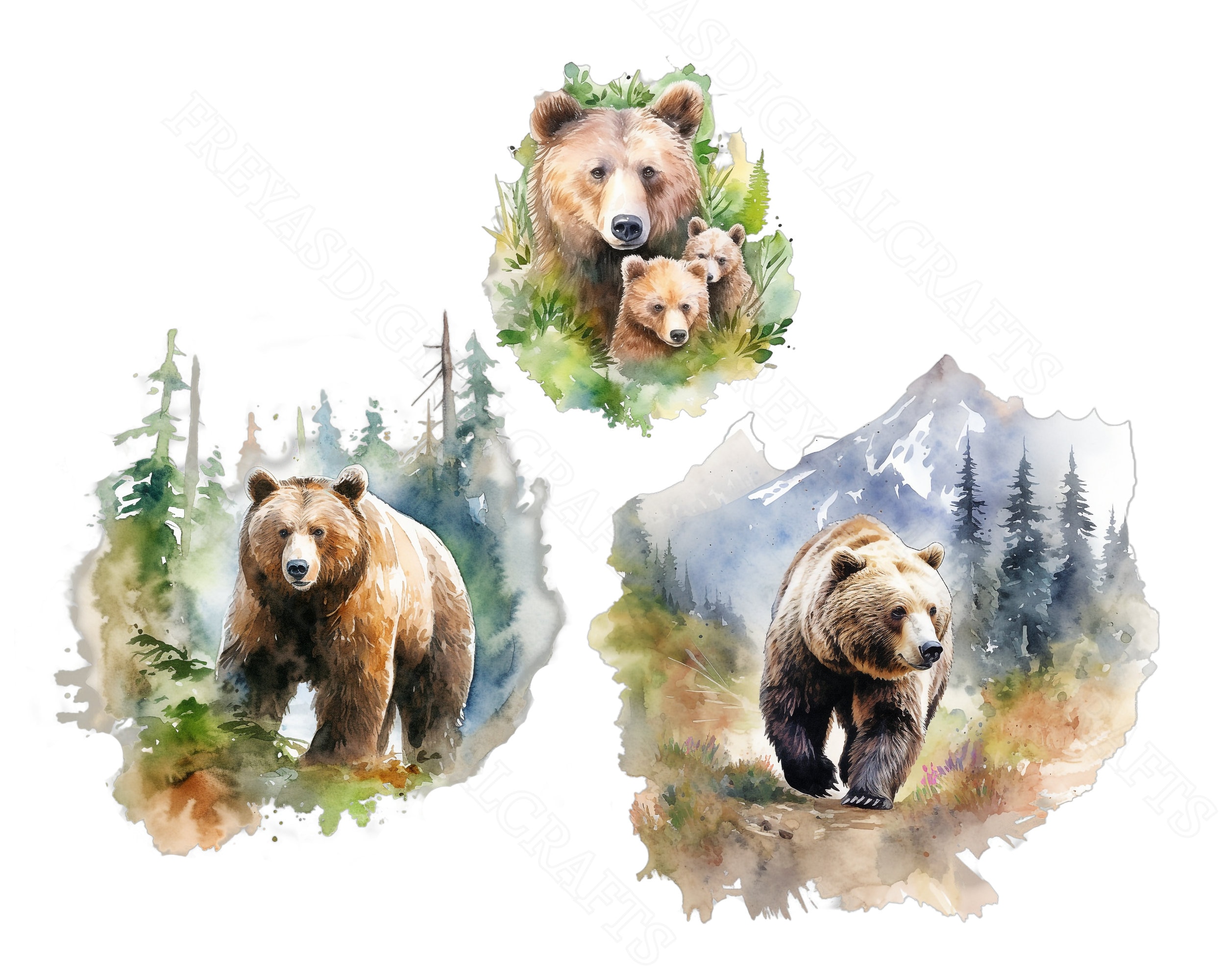 12 Bear Watercolor Clipart Illustration high Quality PNG - Etsy