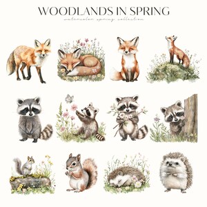 Woodland Animals Clipart, Watercolor Spring Forest Animals PNG, Forest ...