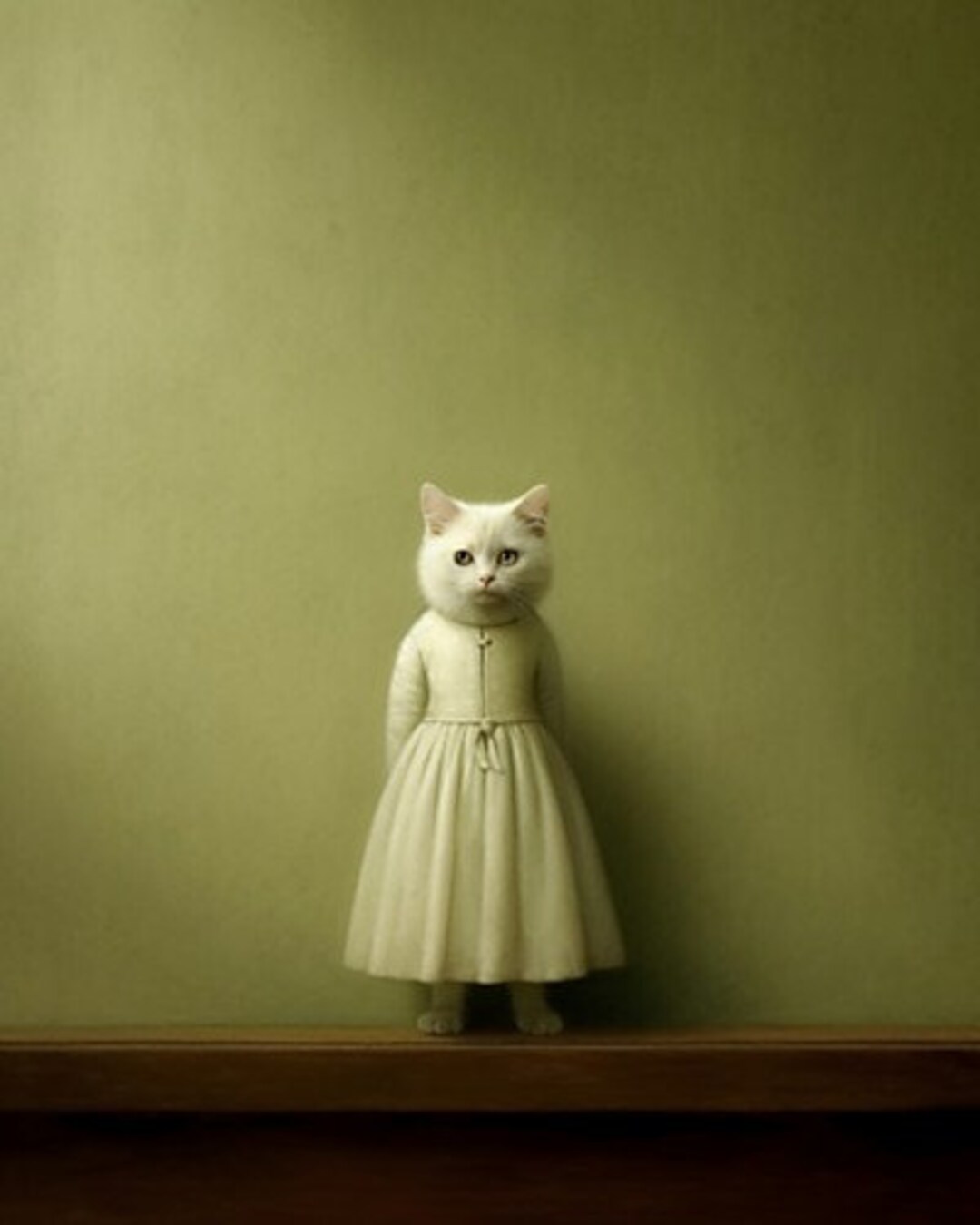 Milly the Cat - Art Print - Etsy