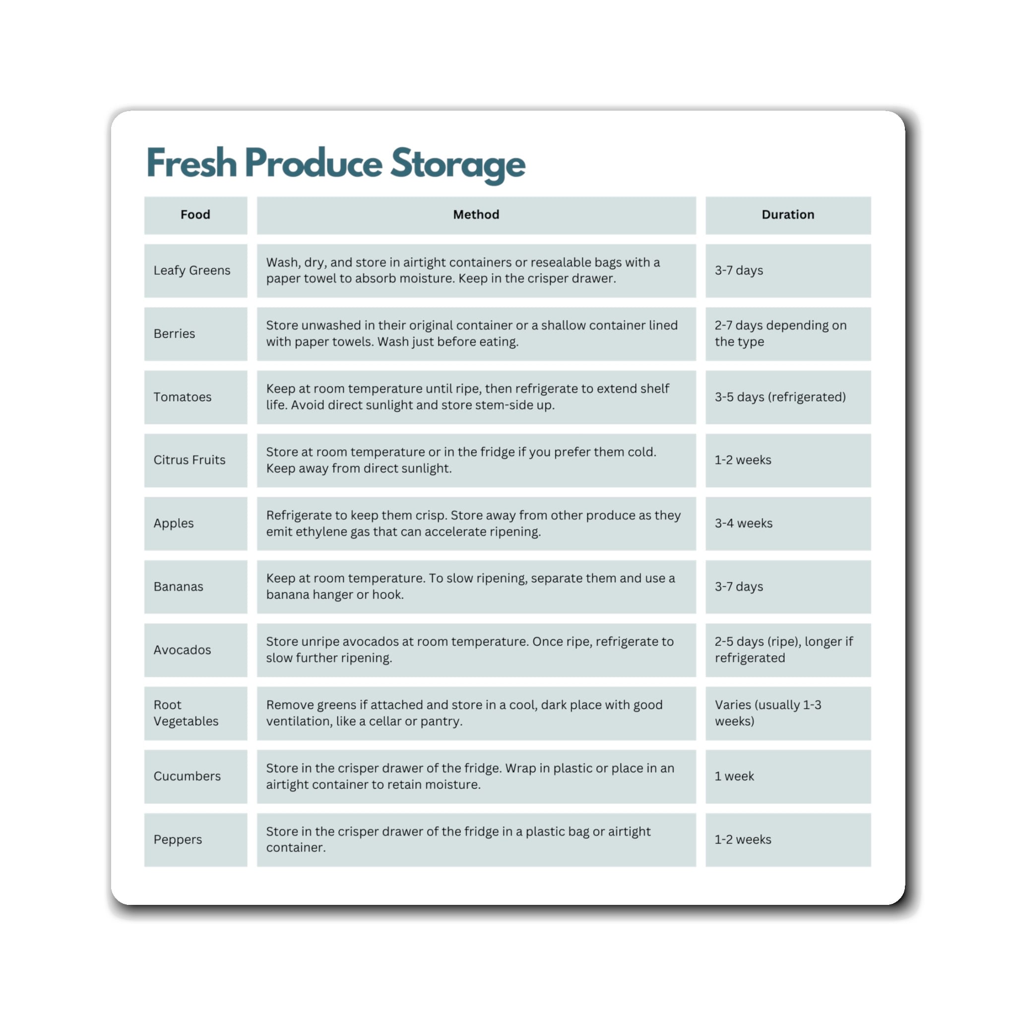 Fresh Food Storage Quick Reference Magnet - Etsy