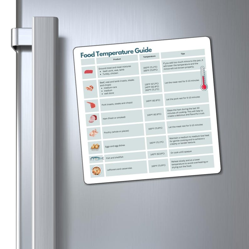 Food Temperature Chart Magnets, Kitchen Magnet, Refrigerator Decor ...