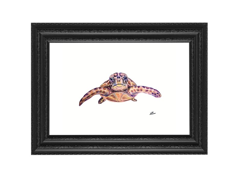 Digital Download "sea Turtle" | Sea Turtle Artwork | Sea Turtle Art ...