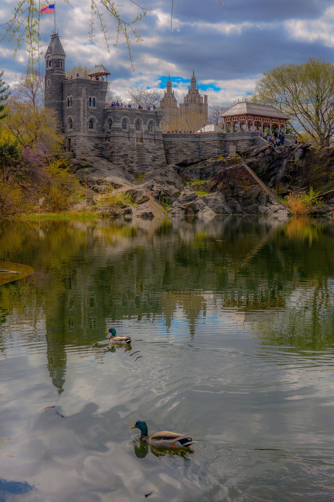 Central Park Castle and Ducks - Etsy
