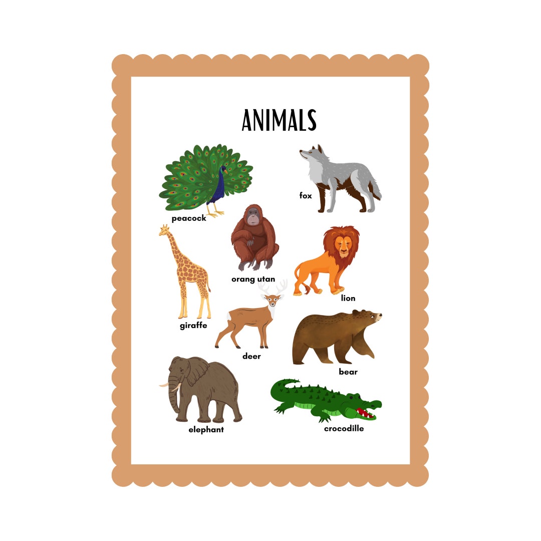 Animal Educational Poster for Kids Kids Room Printable Wall - Etsy