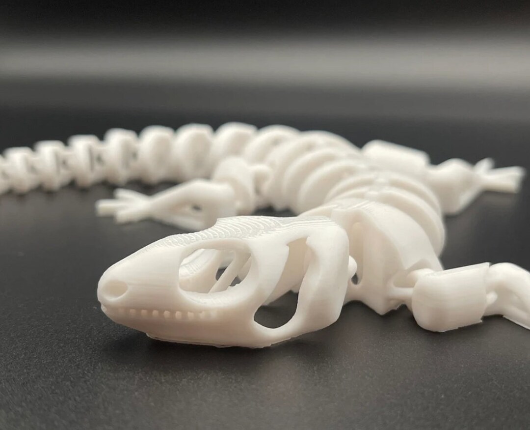 Articulated Skeleton Lizard- Gecko Skeleton - Etsy