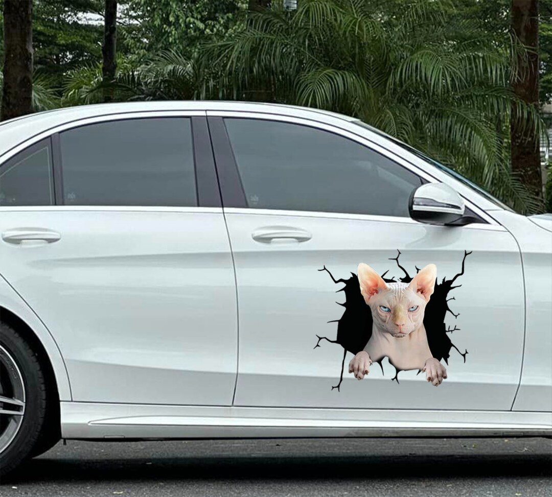 Sphynx Cat Sticker Cat Stickers for Car Windows Cat Lovers - Etsy