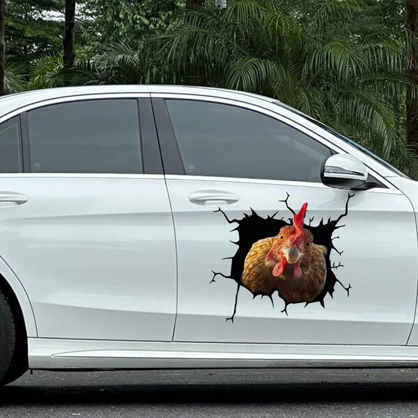 Car Window Decals Funny - Etsy