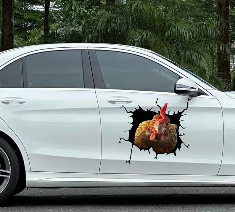 Funny Chickens Window Decal Chicken Car Sticker Funny Rooster - Etsy