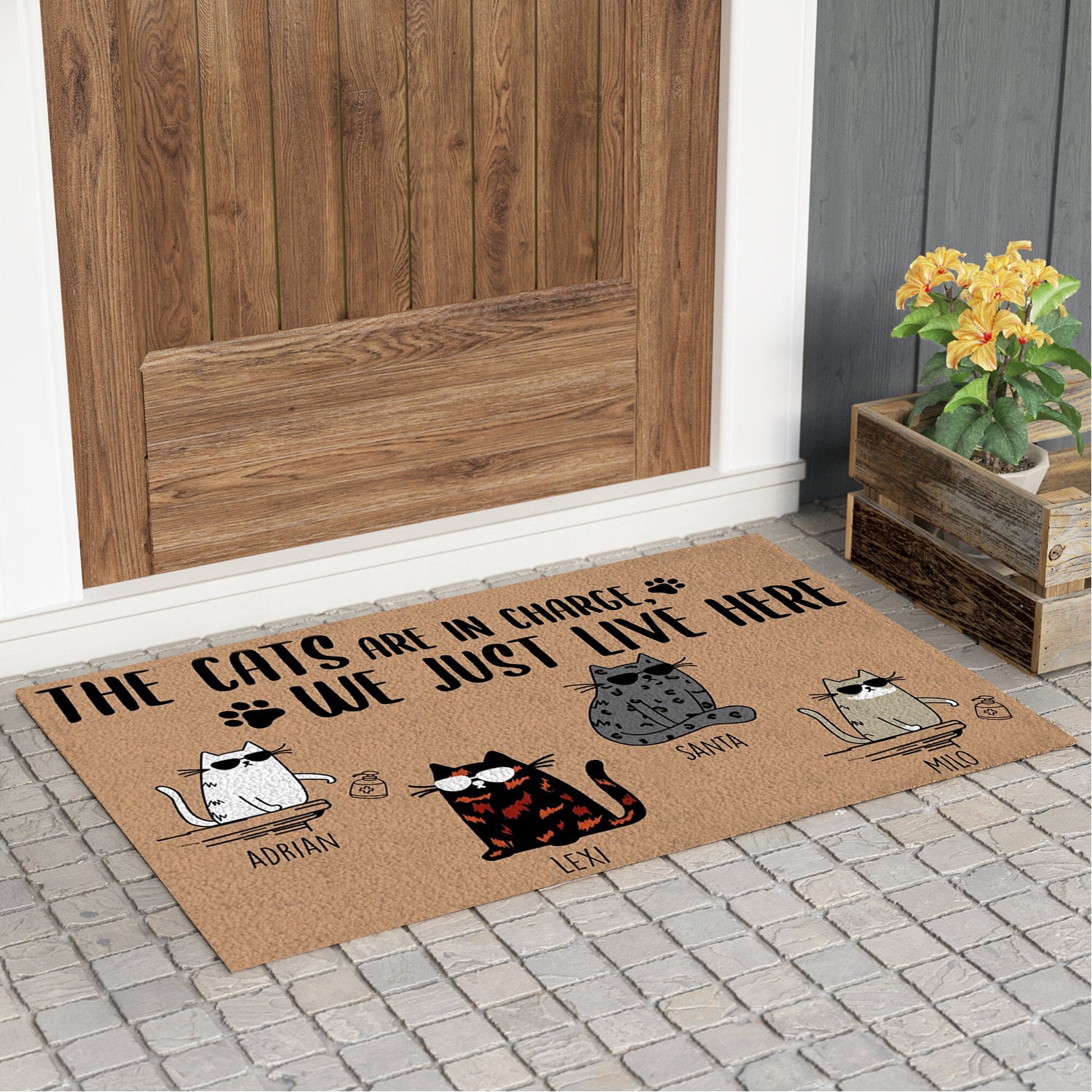 Cool Cat, the Cats Are in Charge, We Just Live Here Personalized ...