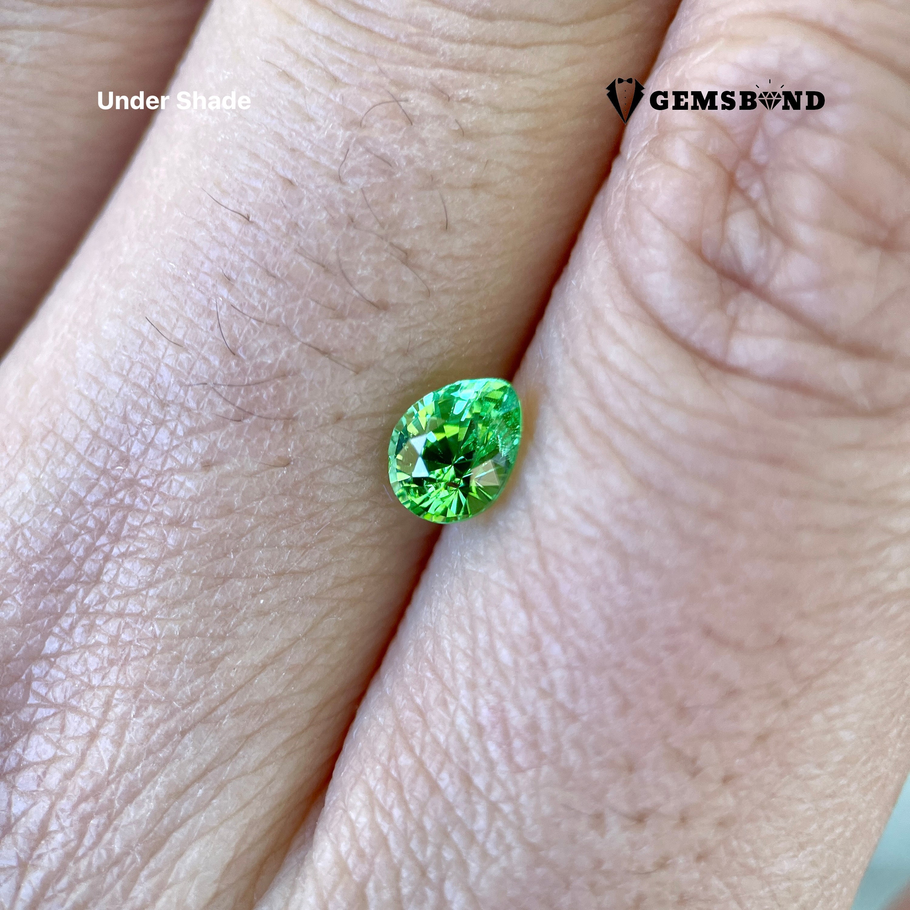 1.02ct Intense Merelani Mint Green Garnet/tsavorite From Tanzania - Etsy