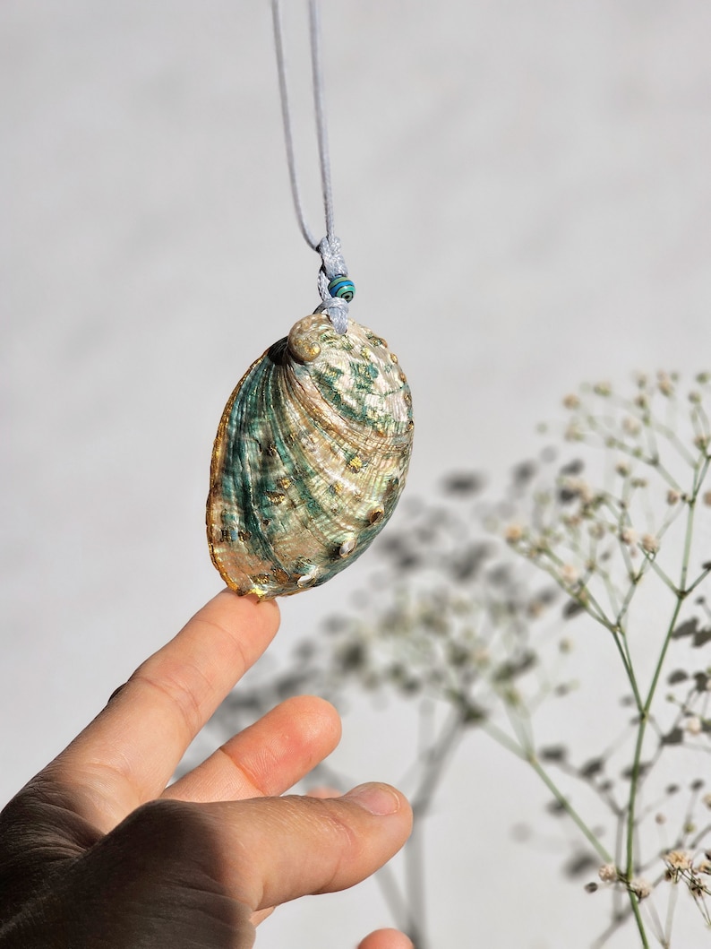 Abalon Shell Cord Pendant Necklace, Natural Shell Clam Necklace, Long ...