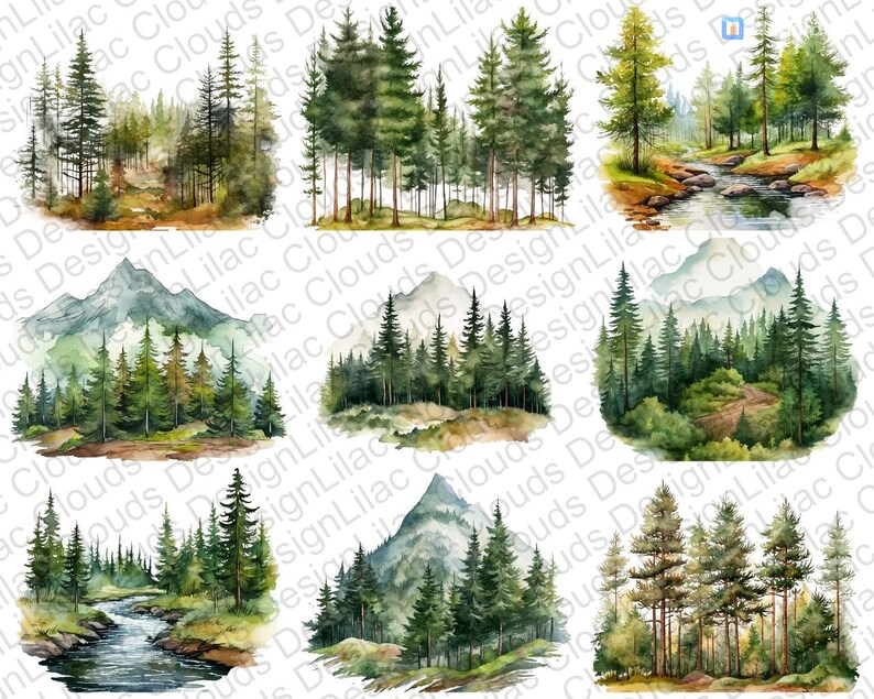 18 Pine Forest PNG | Watercolor Woodland Tree Clipart | Forest ...