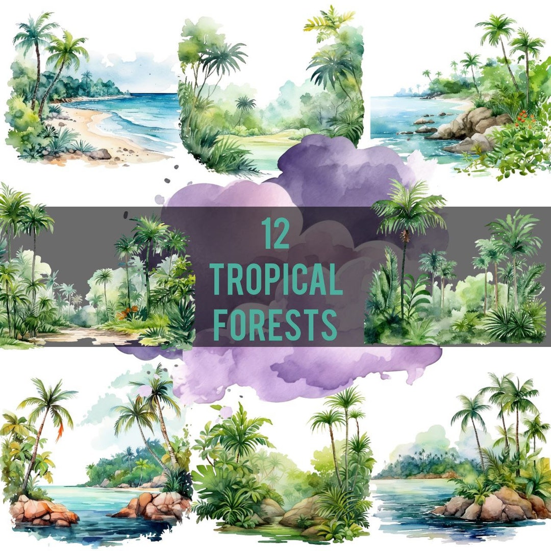 12 Tropical Forests | Watercolor PNG Clipart | Tropical Coast, Island ...