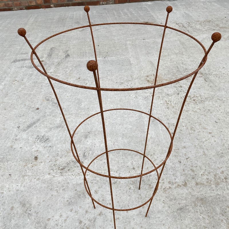 Rose Plant Supports - Etsy UK