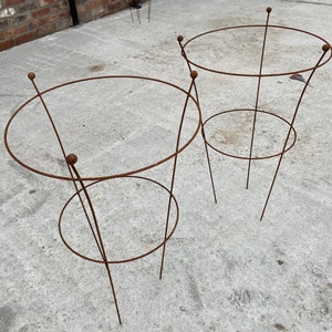 Large Rust Metal Peony Garden Supports Herbaceous Cage Peonies Rusty ...