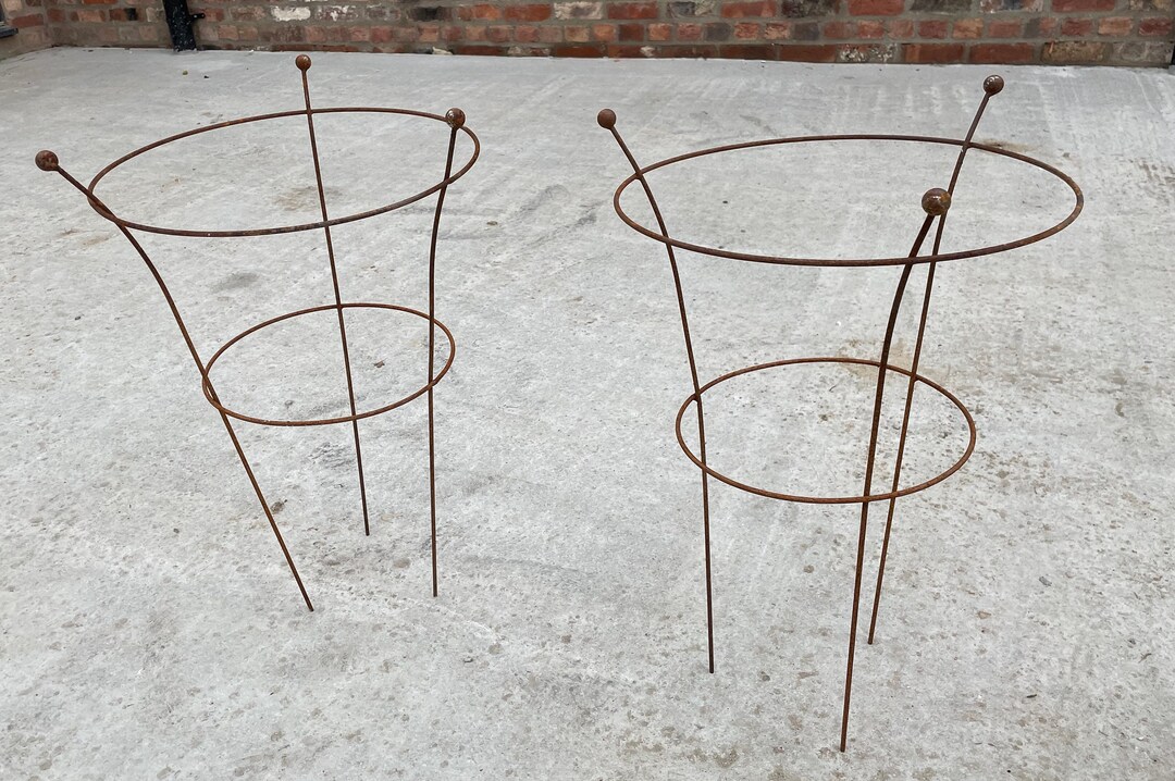 Rust Metal Peony Garden Supports Cage Frame Herbaceous Peonies Rusty ...