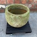 Plant Pot Caddy Wooden Mover Trolley Wheels Garden Planter Stand ...