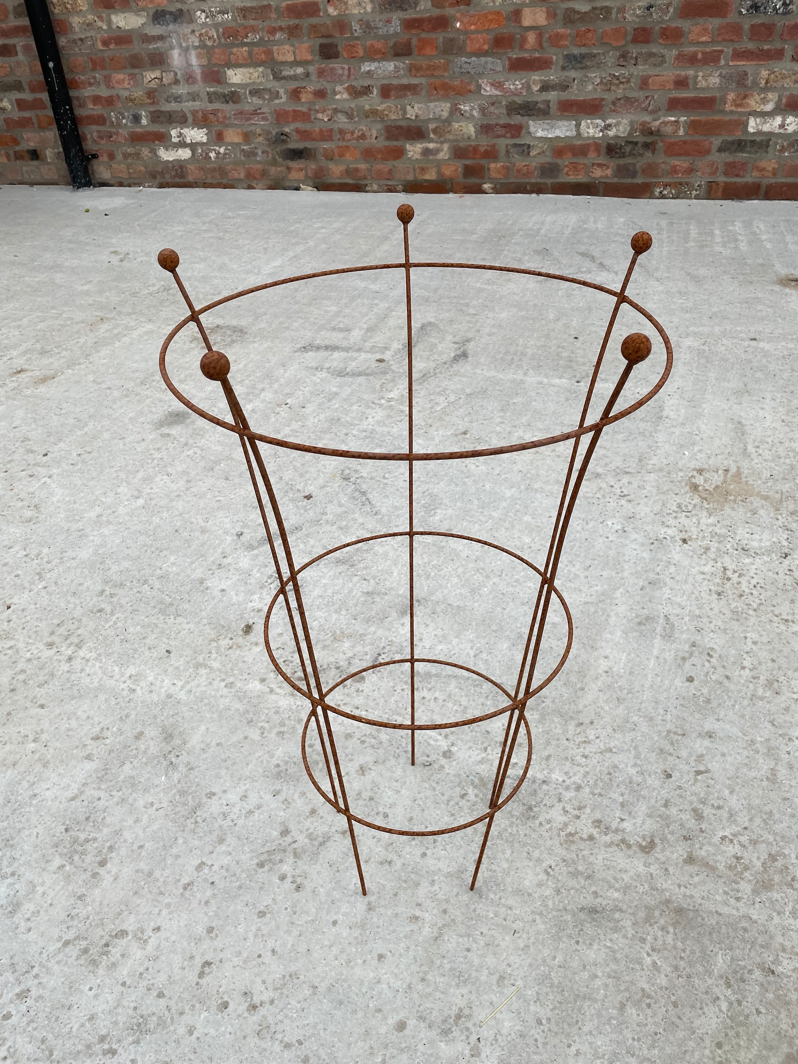 Rusty Metal Peony Garden Support Cage Frame Peonies Herbaceous Plant ...