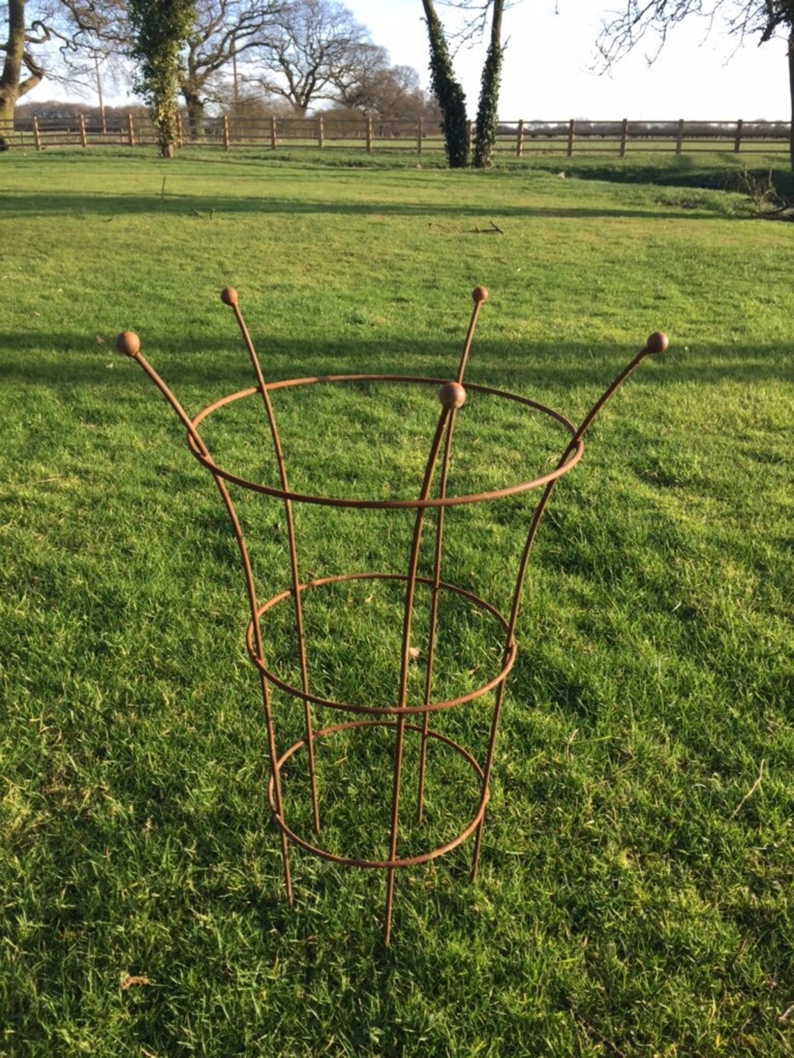 Rusty Metal Peony Garden Support Cage Frame Peonies Herbaceous - Etsy