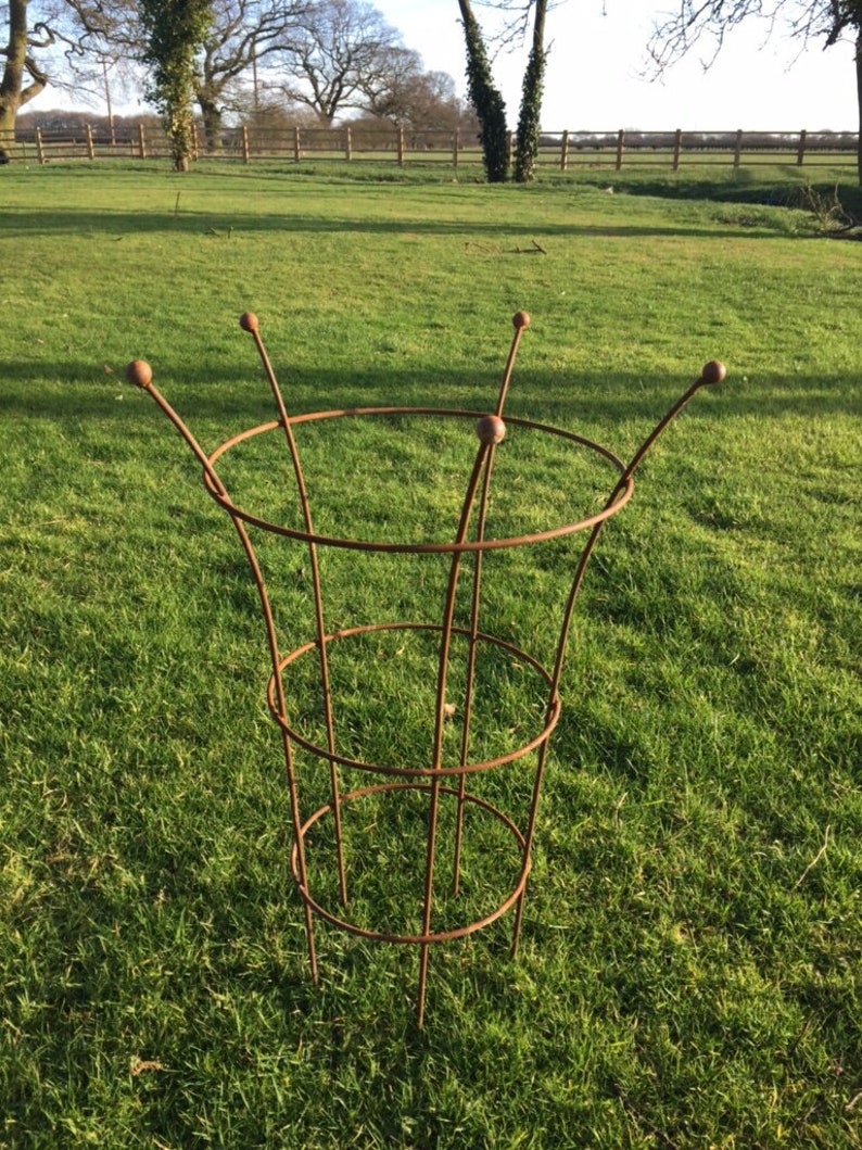 Rusty Metal Peony Garden Support Cage Frame Peonies Herbaceous - Etsy