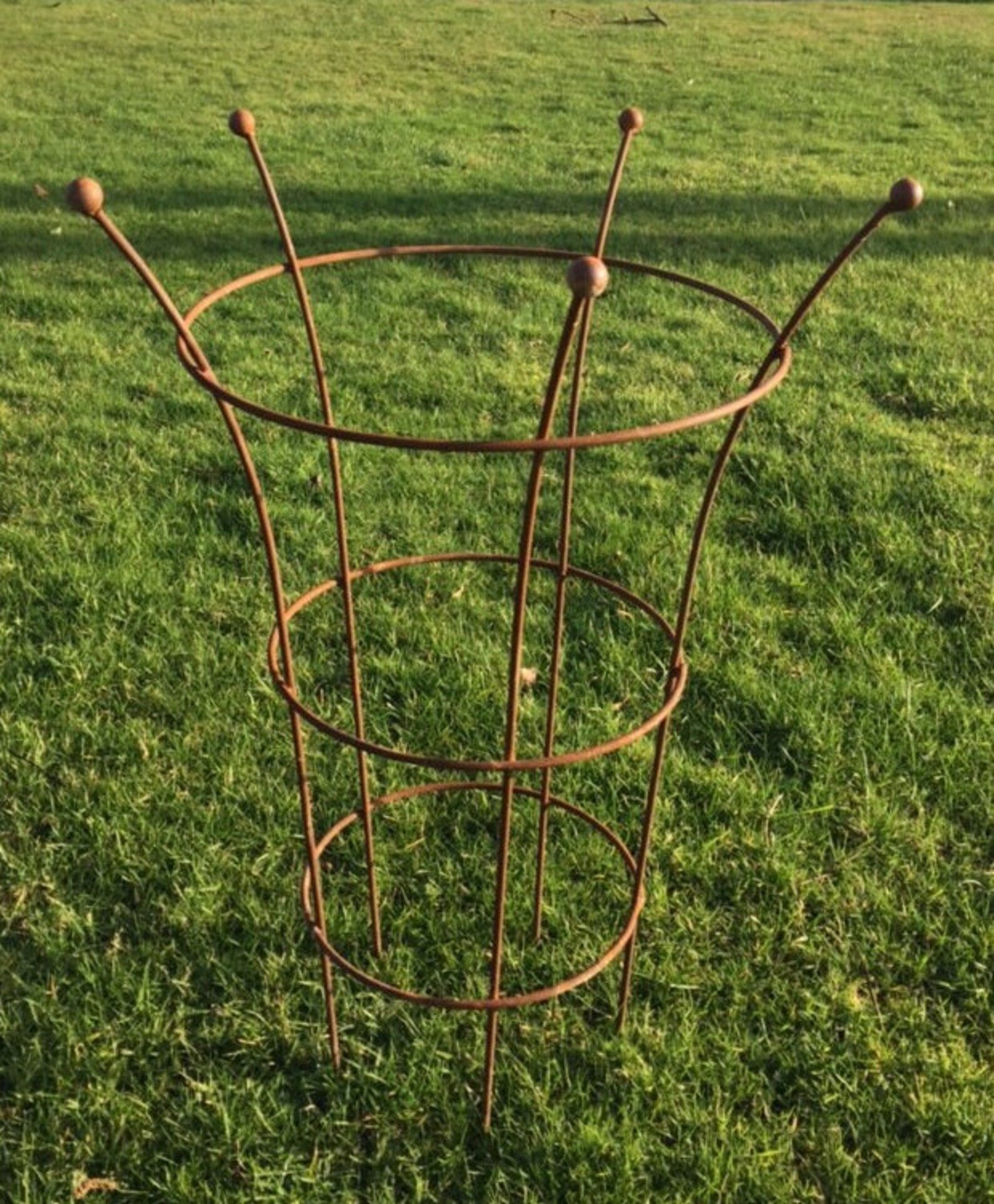 Rusty Metal Peony Garden Support Cage Frame Peonies Herbaceous - Etsy