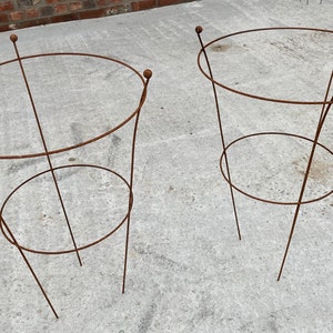 Large Rust Metal Peony Garden Supports Herbaceous Cage Peonies Rusty ...