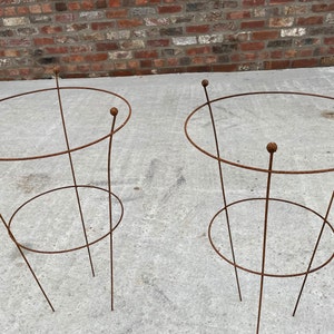 Large Rust Metal Peony Garden Supports Herbaceous Cage Peonies Rusty ...
