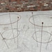 Large Rust Metal Peony Garden Supports Herbaceous Cage Peonies Rusty ...