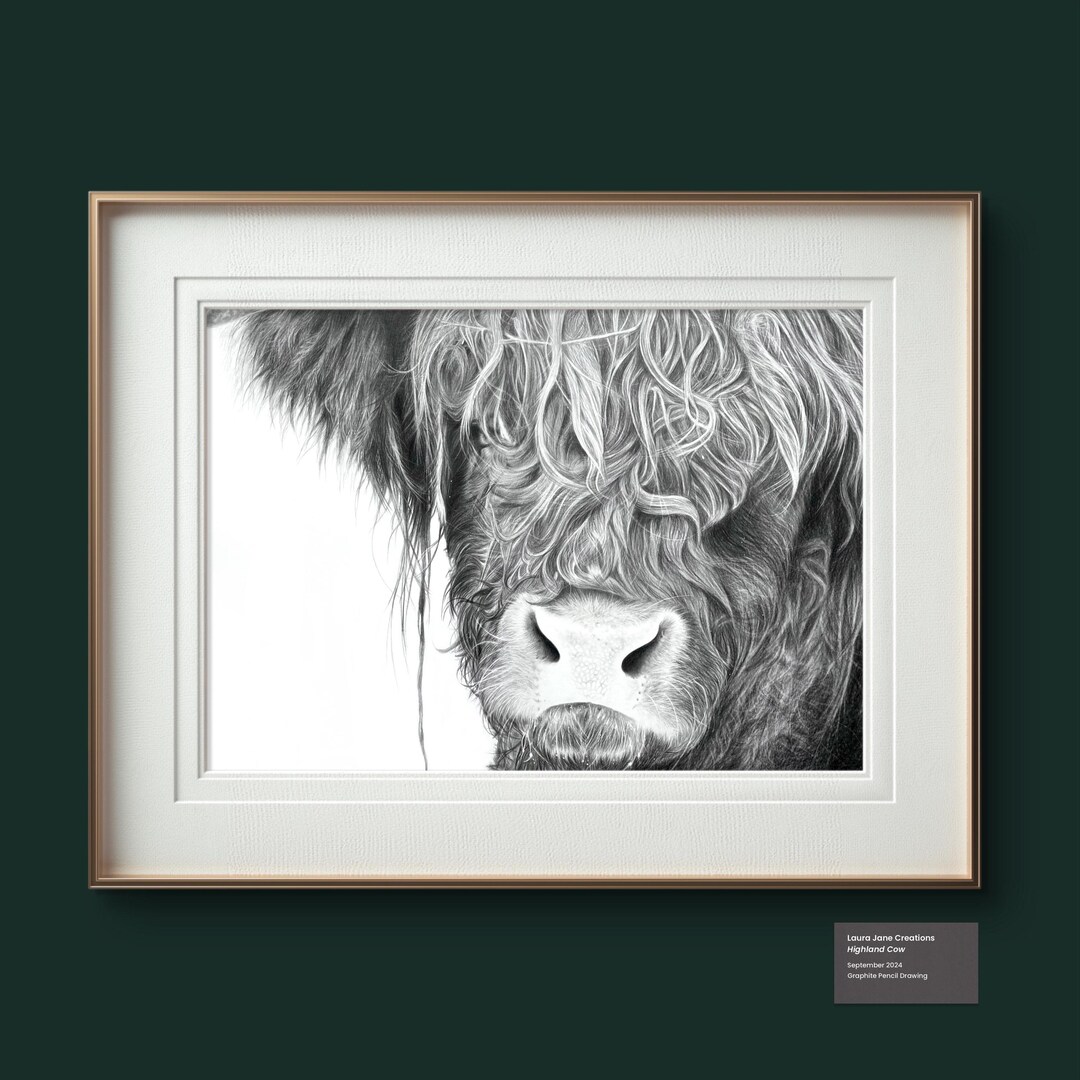 Artwork Hand-drawn Highland Cow Print - Etsy UK