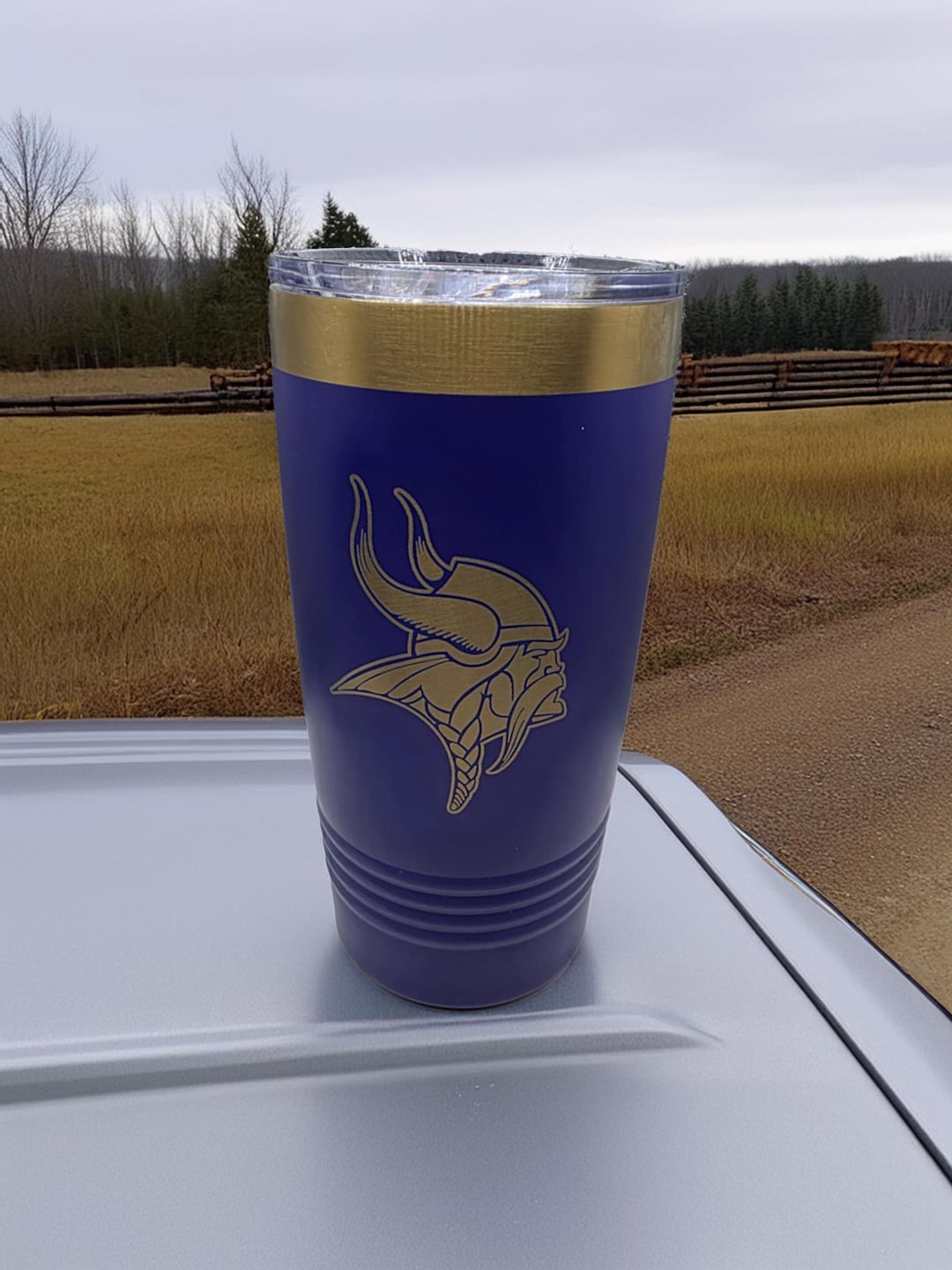 Minnesota Vikings Tumbler: Insulated Stainless Steel Drinkware With ...