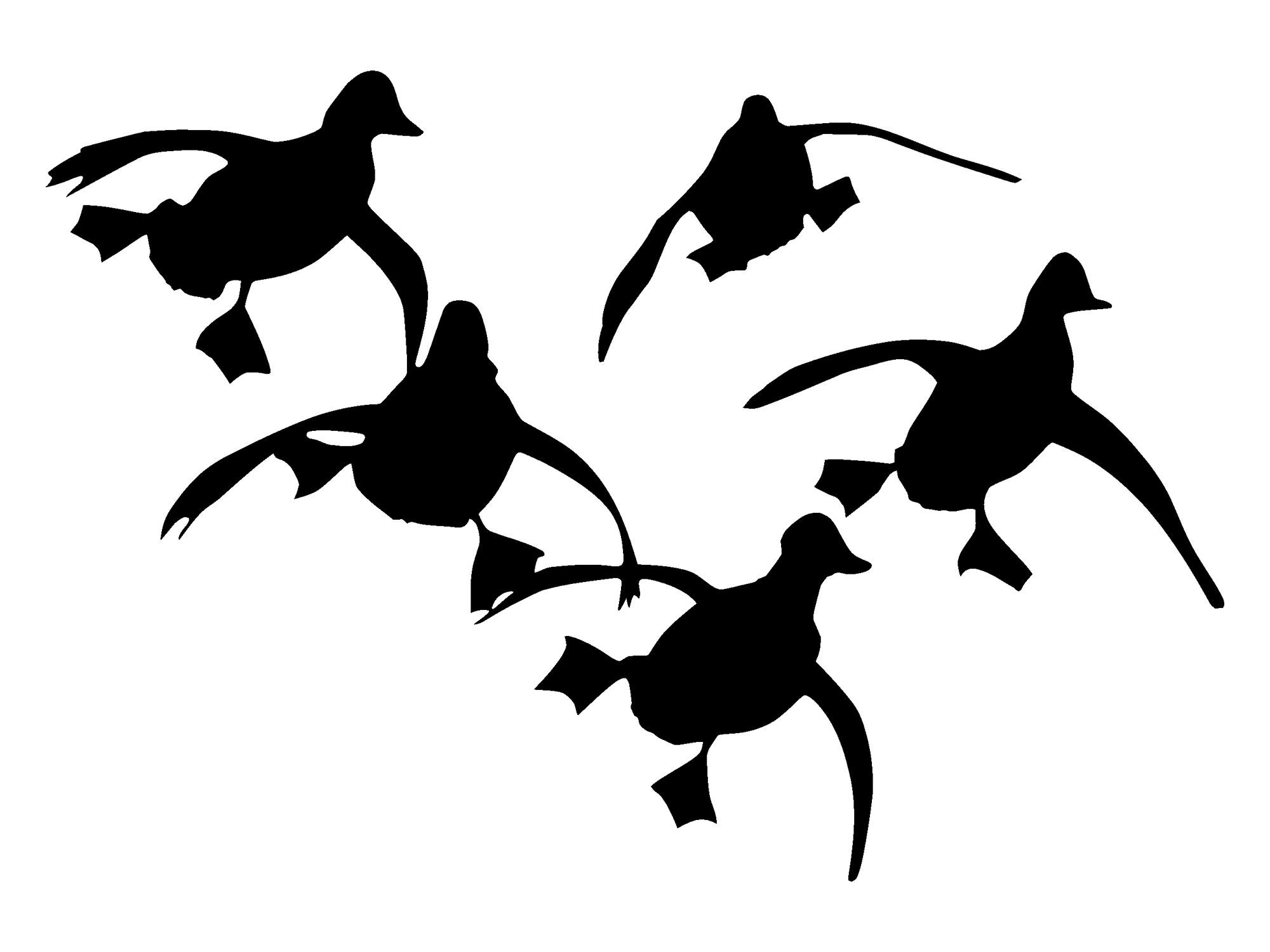 Ducks Landing Decals