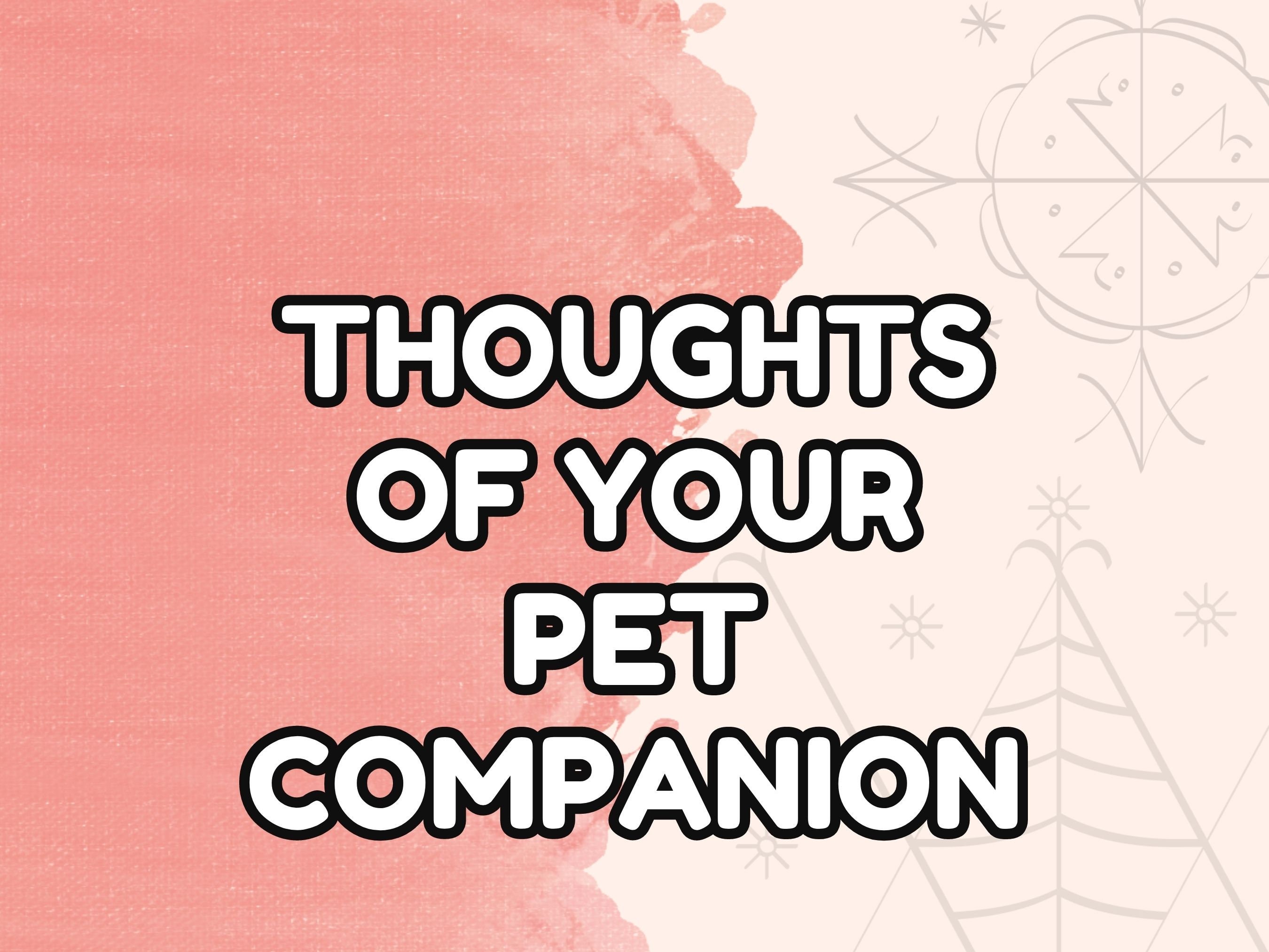 Pet Medium Communication Communicator Psychic Soul Reading Animal Dog ...