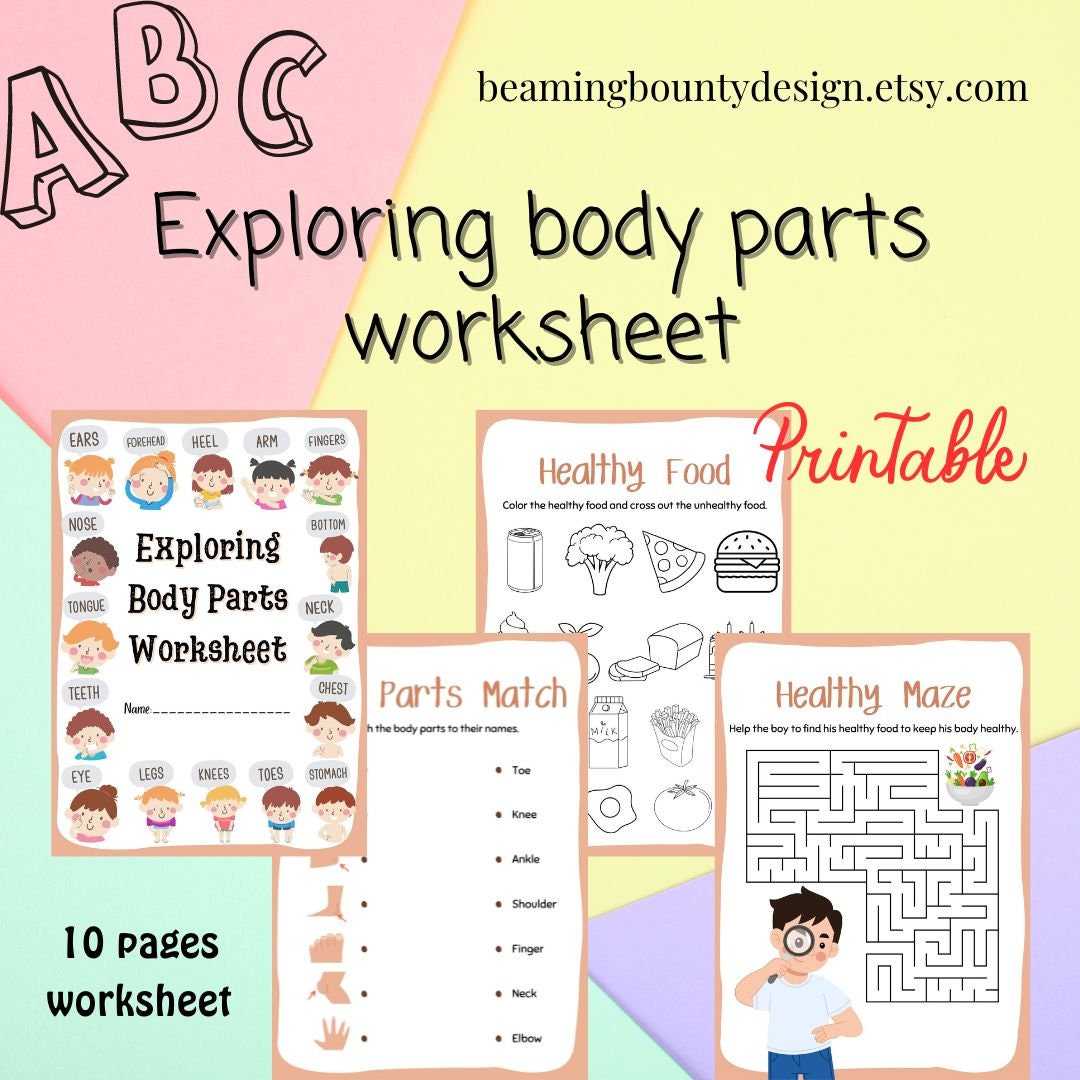 Exploring Body Parts Worksheet | Kids Fun Worksheet | Worksheet Set ...