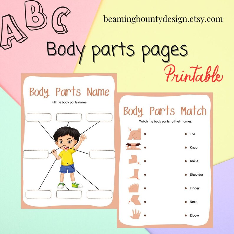 Exploring Body Parts Worksheet | Kids Fun Worksheet | Worksheet Set ...