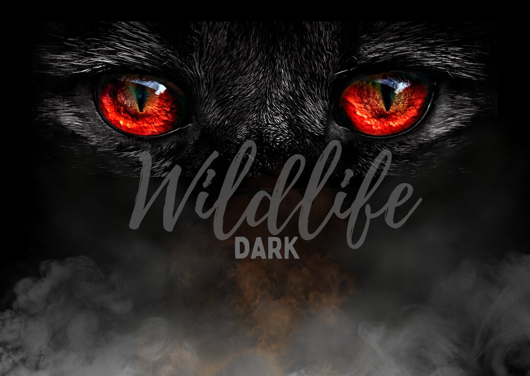 ULTIMATE Wildlife Bundle FREE Presets Included - Etsy