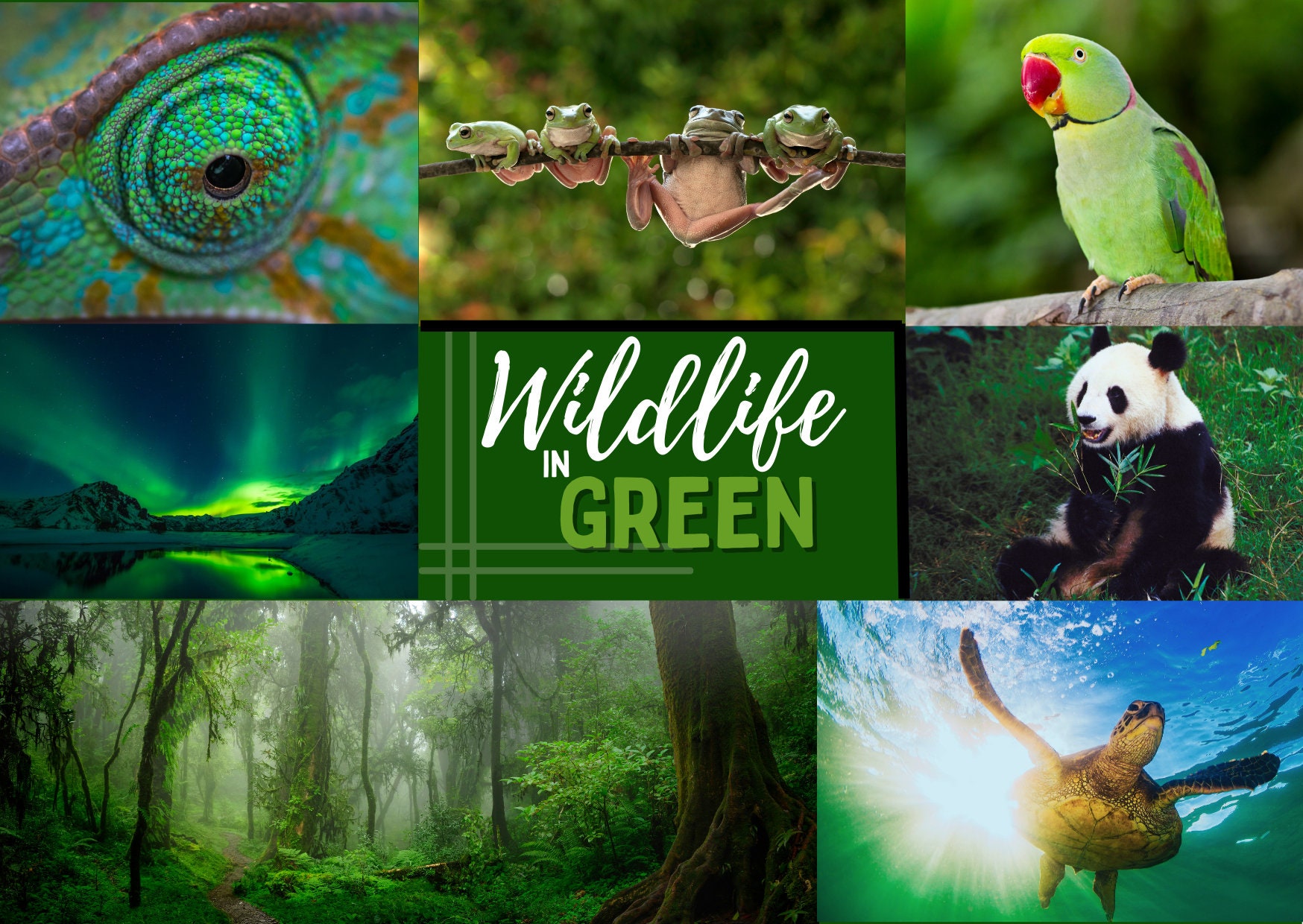 ULTIMATE Wildlife Bundle FREE Presets Included - Etsy