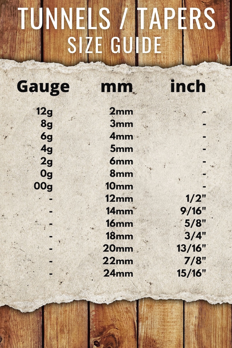 Flesh Tunnel Gold Ear Stretching Kit, Titanium Ear Plugs, Threaded ...