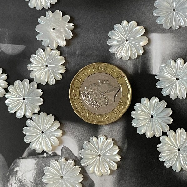 Shell Flowers - Etsy
