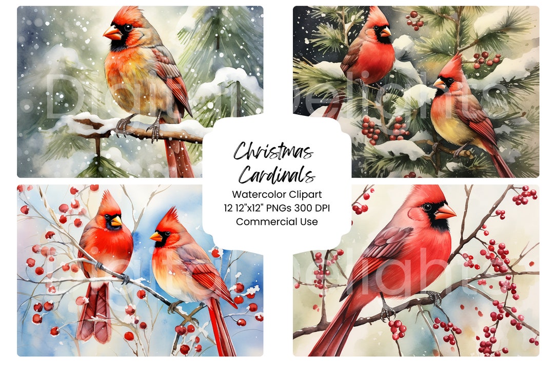 Christmas Cardinals Clipart Watercolor Digital Paper Bundle 12 PNG ...