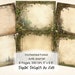 Rainforest Sunlight Digital Paper Bundle 12 PNG JPG Commercial Use ...