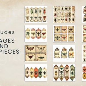 Insect Specimen Junk Journal Ephemera Designs Fussy Cuts Tags Scraps ...