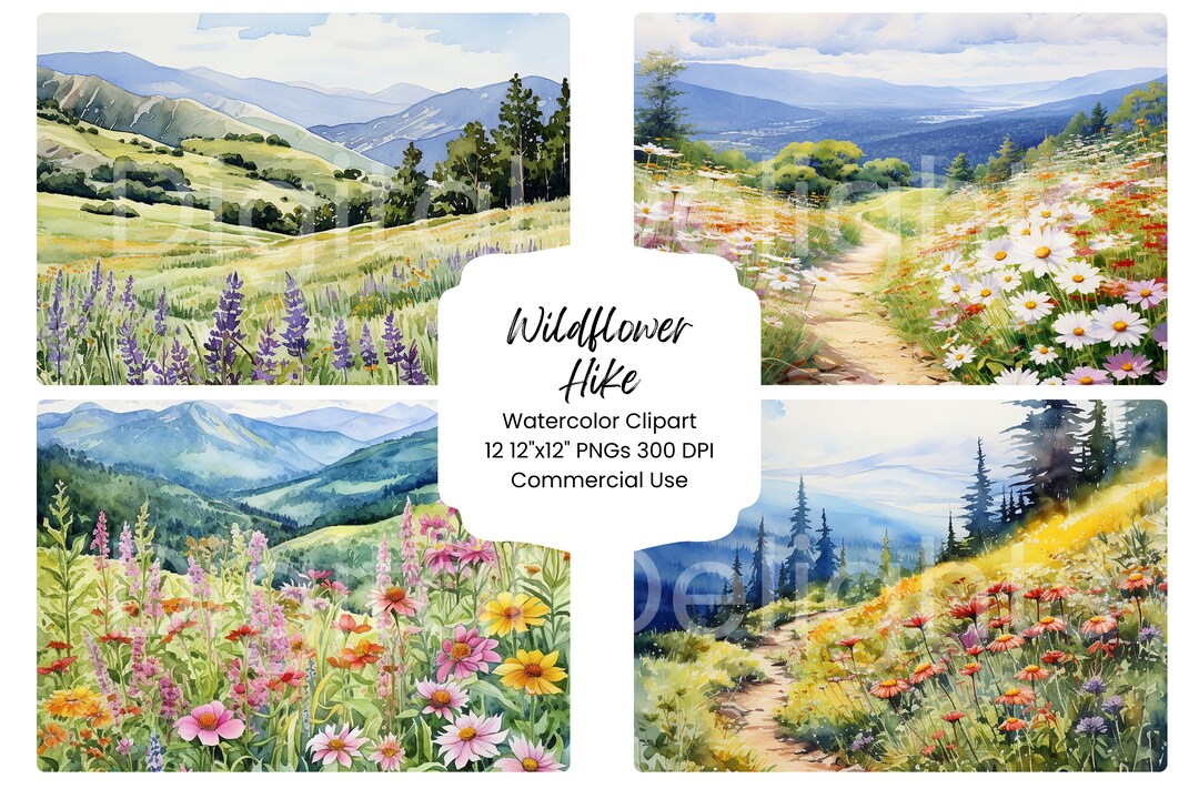Wildflower Hike Digital Paper: Watercolor Meadow Scenery (12 JPEG Files ...
