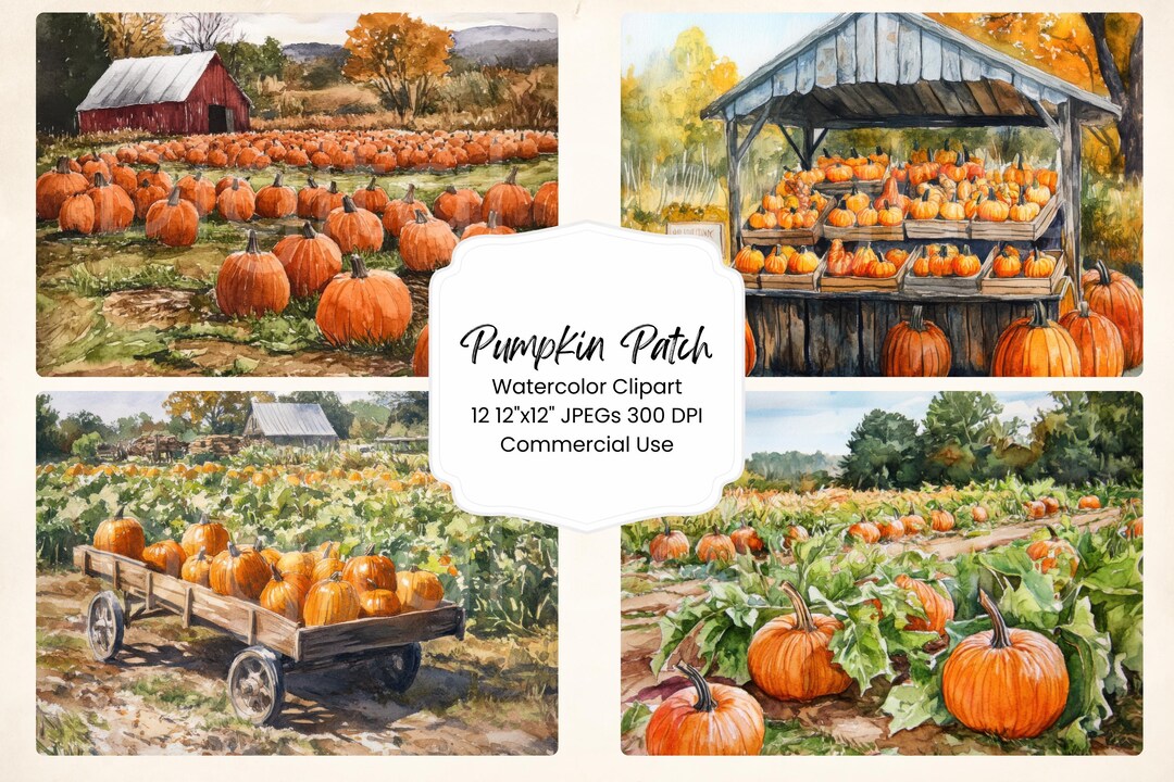 Pumpkin Patch Digital Paper Bundle 12 JPG Files Autumn Farm Stand ...