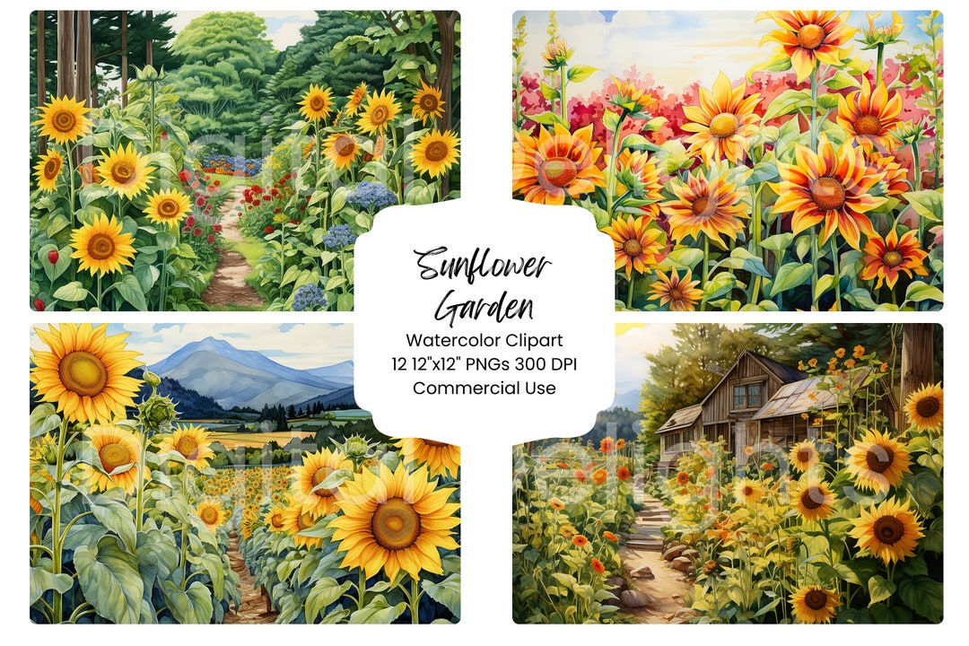 Sunflower Garden Digital Paper Bundle 12 PNG Files Meadow Watercolor ...