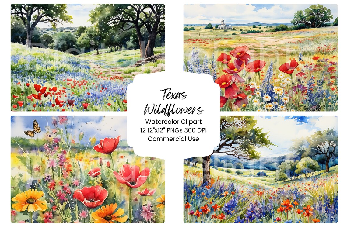 Texas Wildflower Watercolor Clipart: Spring Meadow Digital Paper (PNG ...