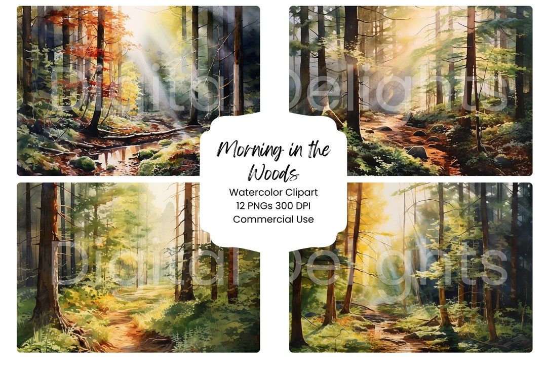 Forest Morning Sun Digital Paper Bundle 12 PNG JPG Files Commercial Use ...