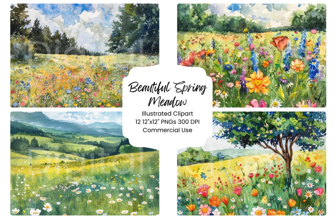 Wildflower Meadow Digital Paper Bundle 12 JPG Files Meadow Watercolor ...