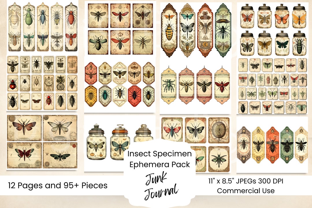 Insect Specimen Junk Journal Ephemera Designs Fussy Cuts Tags Scraps ...