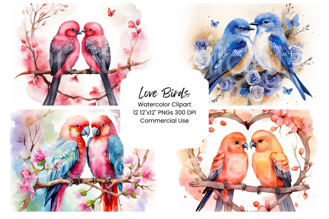 Love Birds Watercolor Clipart: Valentine's Day PNG Bundle (digital ...